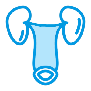 La Verge - Centre d'Urologie Trenel